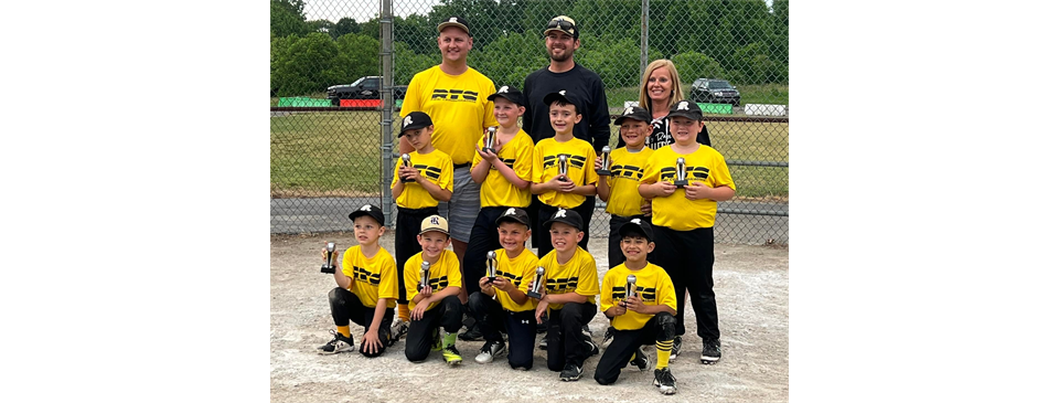 Rochester Youth Baseball League > Home